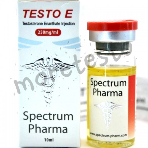 Testo-E (тест энантат) Spectrum (EUROPA) | Моретесто - Официальный ...